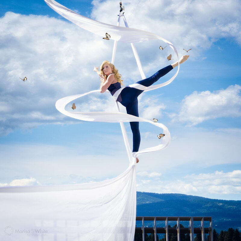 Aerial Silk Classes | Dragonfly Aerial Company