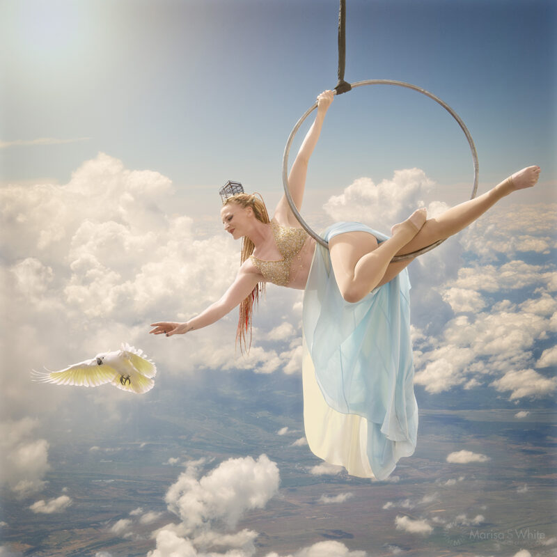 Aerial Silk Classes | Dragonfly Aerial Company