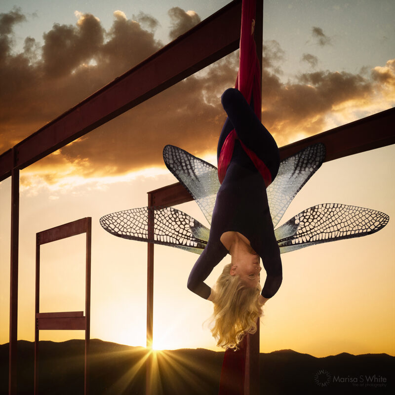 Aerial Silk Classes | Dragonfly Aerial Company